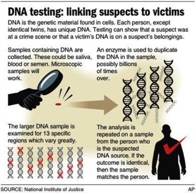 New science solves old murders: investigative genetic genealogy – USA ...