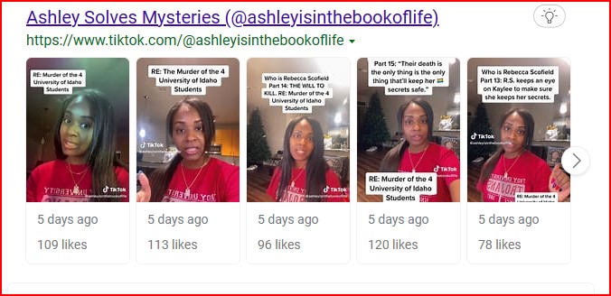 University of Idaho professor files defamation lawsuit against TikToker ...