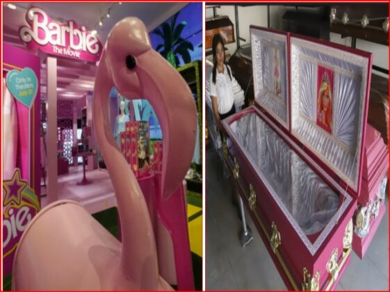 Embracing Barbiemania: Global Obsession with the Iconic Doll and the ...