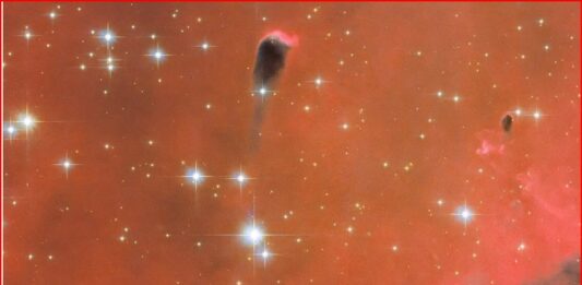 Nebula Westerhout 5 - USA Herald