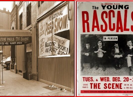 Midtown Jane Doe - USA Herald