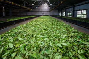 TreeHouse Foods to buy Harris Tea For $205M - USA Herald