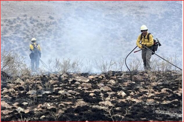 New Mexico Wildfires Prompt Emergency Declaration as Trout Fire Burns ...