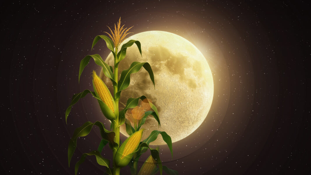 Corn Moon 2025: Rare Blood Moon and Total Lunar Eclipse Coming in ...