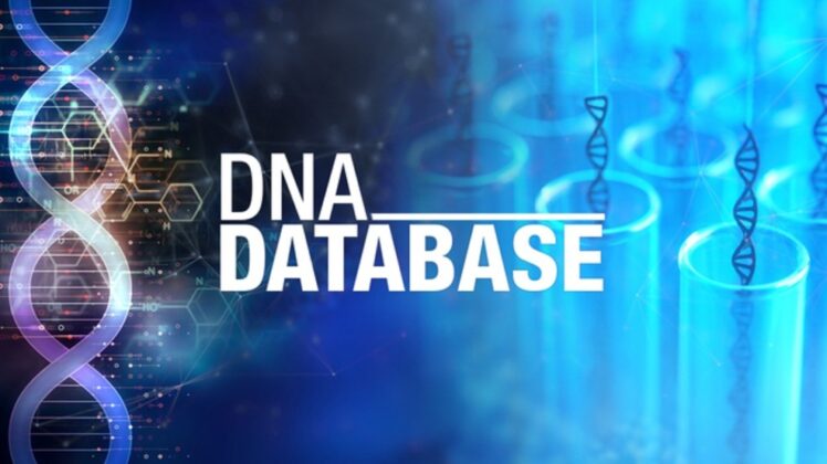 DNA Database Links California Man to Four Cold Cases in Arizona - USA ...
